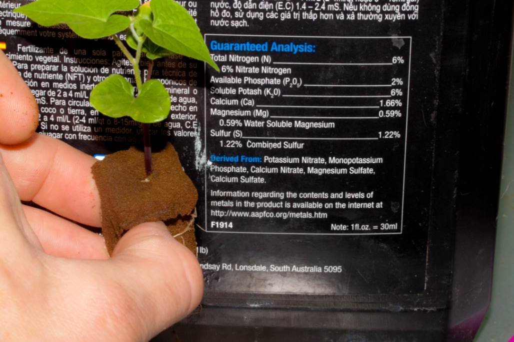 Hydroponic Fertilizer : Growing Best Plants